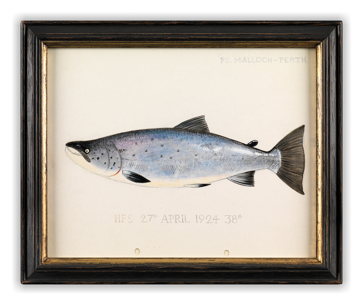 P.D. Malloch - Perth - Robert Young Antiques