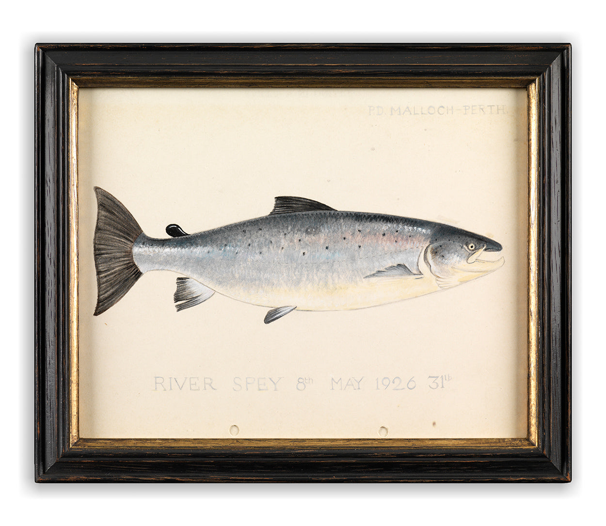 P.D. Malloch - Perth – Robert Young Antiques