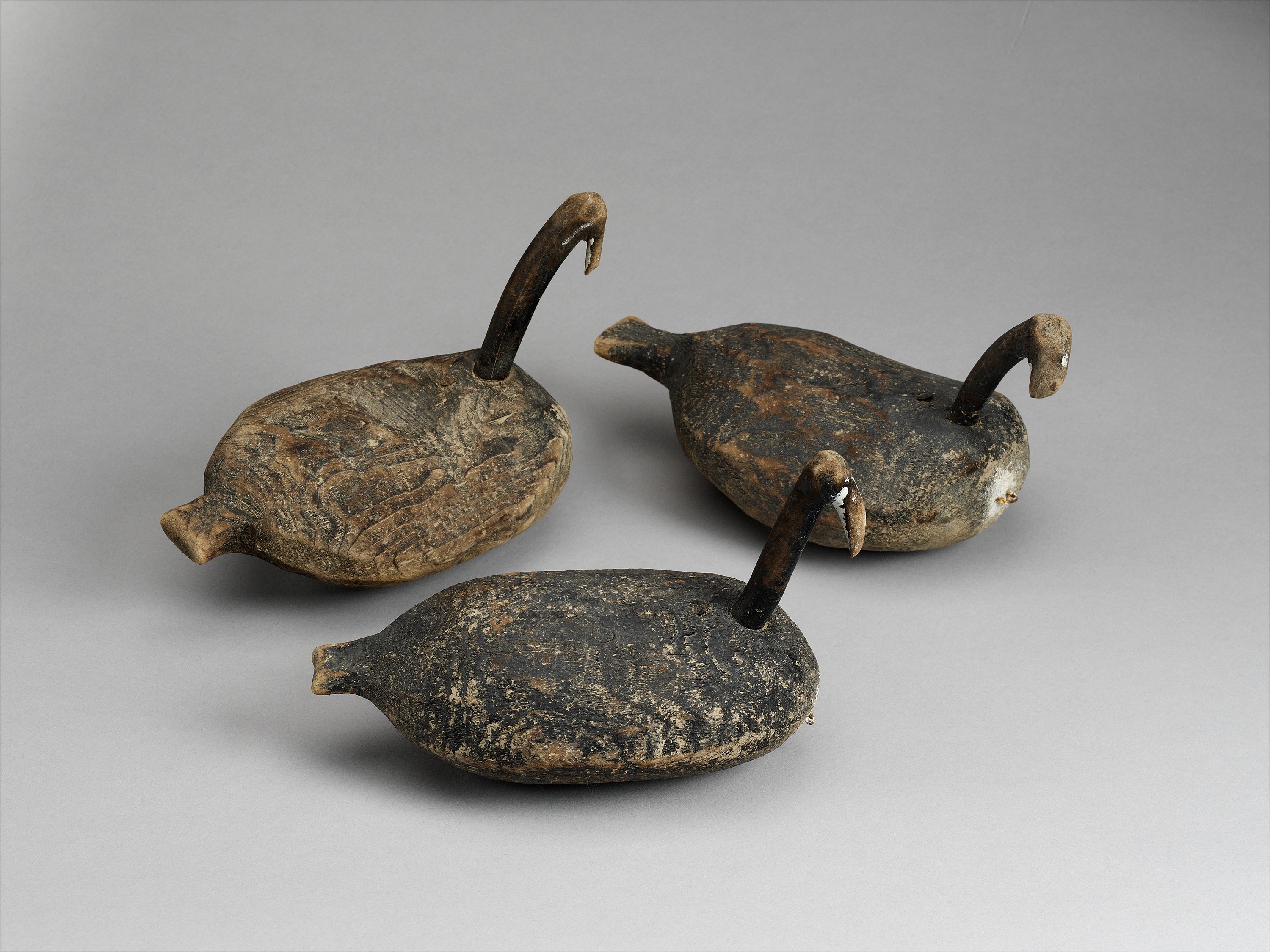 Three Root Head Coot Decoys – Robert Young Antiques