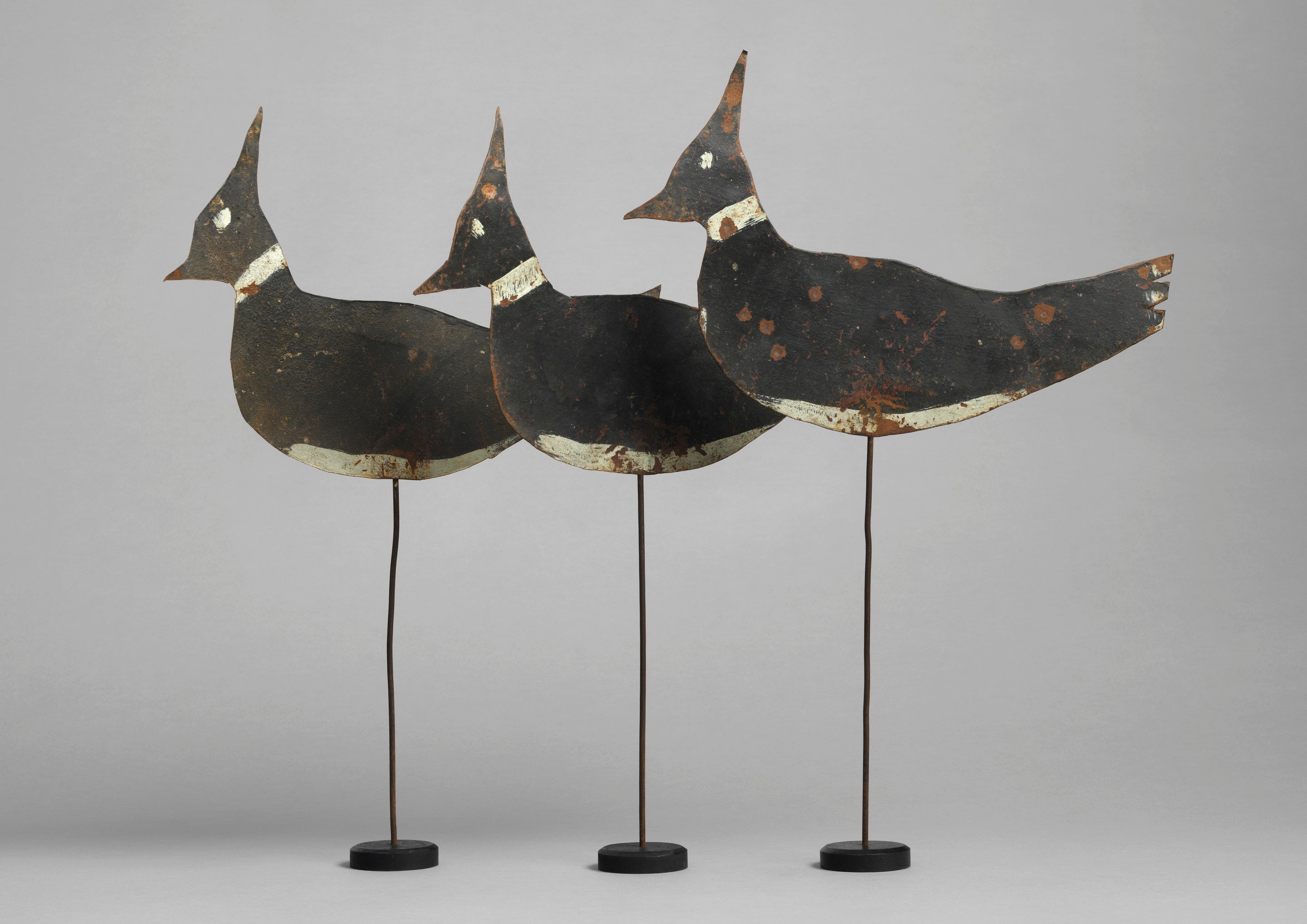 Three Silhouette Lapwing Form Confidence Decoys – Robert Young Antiques